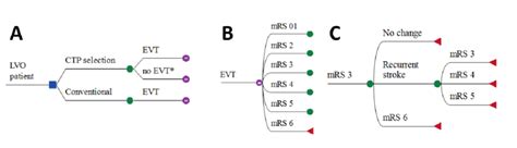 Markov Model Structure A Patients With A Confirmed Large Vessel