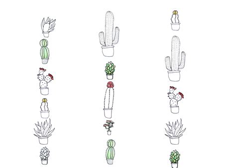 Cactus Dotwork Tattoos