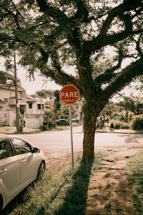 집 밖의 간판 거리 건축 경치 고요한 공공 장소 교외의 교차로 교통 교통 통제 그늘 깎아 다듬다 나무 남아메리카 녹지 도로 도로 안전 도시
