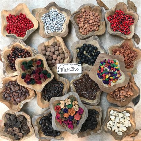 Jual 100gr Paket Biji Bijian Bahan Kolase Biji Kerajinan Kolase Aneka Properti Foto Rustik