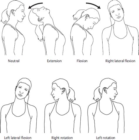 Neck Assessment Musculoskeletal Key