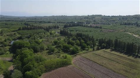 სამეგრელო ხობის მუნიციპალიტეტი სოფელი ახალი ხიბულა Youtube