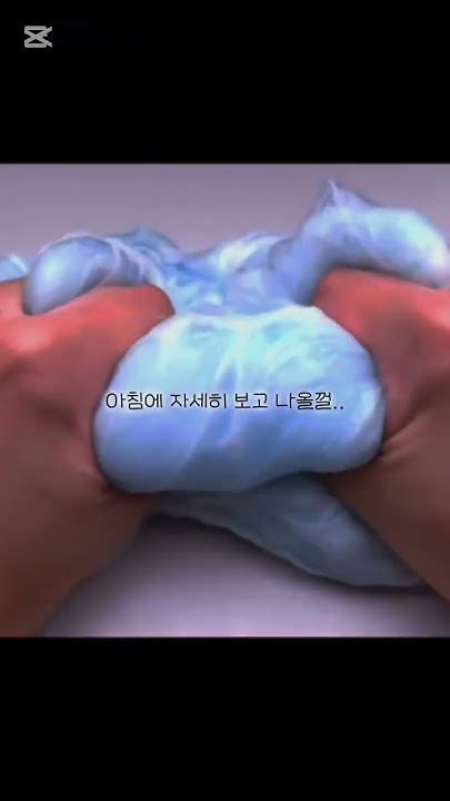 여행 와현님 주피코님 와현님 주피코님 액괴계 편집 슬픔 1일1영 추천추천추천추천추천추천추천추천추천추천 알고리즘떠라