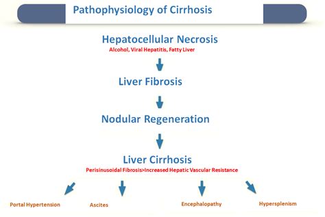 Detecting Individuals At High Risk Of Liver Cirrhosis With Artificial Intelligence Deep Learning