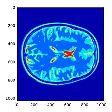 Representation In 256 × 256 Daubechies 4 Scaling Functions From 512 ×