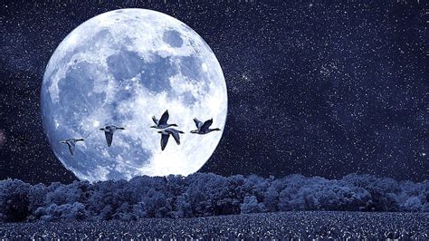 Hd Wallpaper Artistic Fantasy Alone Full Moon Girl Sad Sky Wallpaper Flare