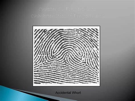 Chapter 6 Fingerprints Power Point PPT
