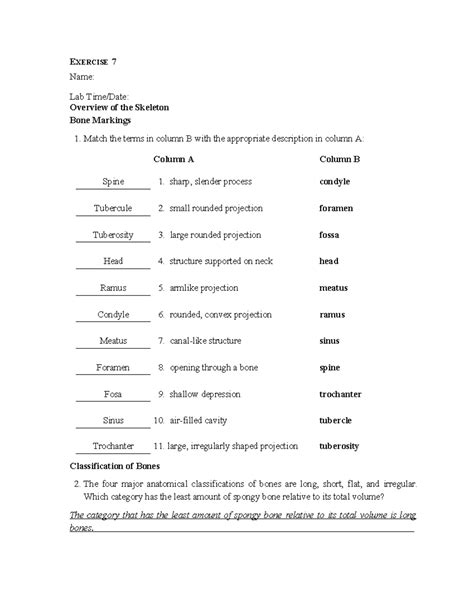 Exercise 7 Overview Of The Skeleton Exercise 7 Name Lab Timedate