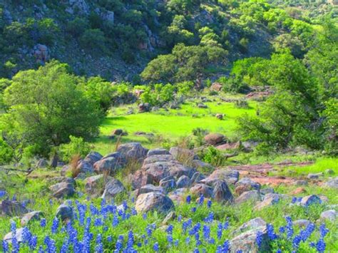 15 Fun Things To Do In Canyon Lake Tx Totally Texas Travel