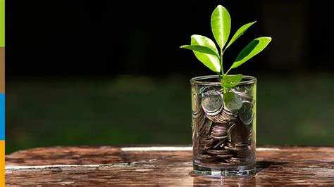 Scalingup Coaches On Linkedin How Much Is It To Implement The Scaling