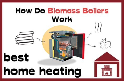 How Does Biomass Energy Work Biomass Heating Explained