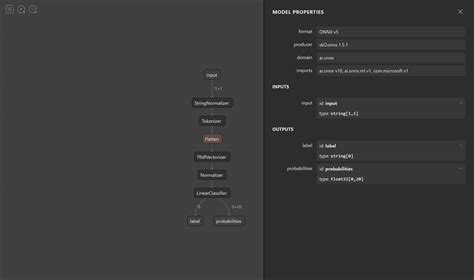 Consuming A Simple ONNX Model For Text Classification From ML Net