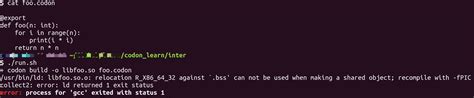 C C Integration ERROR Relocation R X86 64 32 Against Bss Can Not