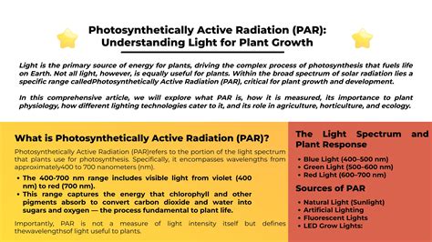 Understanding Gas Detectors Types Features And Future Trends Sensor One Stop The Best