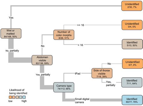 Results Of Classification Tree Analysis Showing Characteristics Download Scientific Diagram