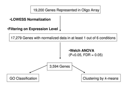 flow chart of oligo microarray data analysis microarray data analysis