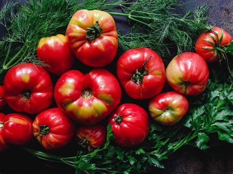 The Best Tasting Tomatoes 7 Delicious Varieties To Grow In Your Garden Minneopa Orchards
