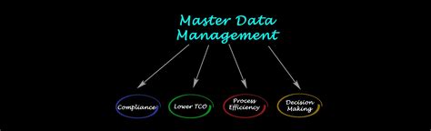 Karuyaki Case Studies Kpmg Data Governance And Compliance