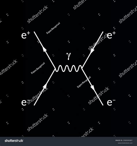 Feynman Diagram Electron Positron Annihilation Part Electron Positron Stock Vector Royalty Free