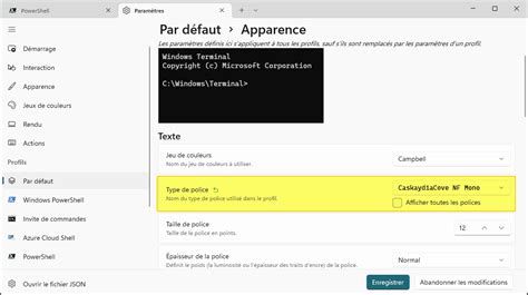 Oh My Posh La Solution Pour Un Beau Thème Powershell
