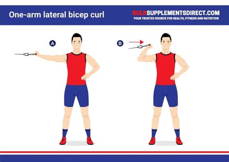 The Lateral Bicep Curl The Complete How To Guide For Bigger Biceps