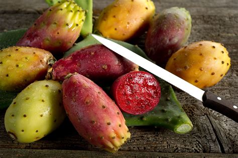 Red Cactus Fruit