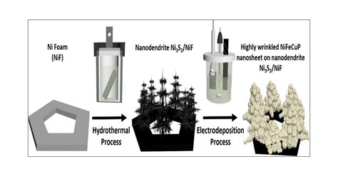 Hierarchical Highly Wrinkled Trimetallic Nifecu Phosphide Nanosheets On Nanodendrite Ni3s2ni