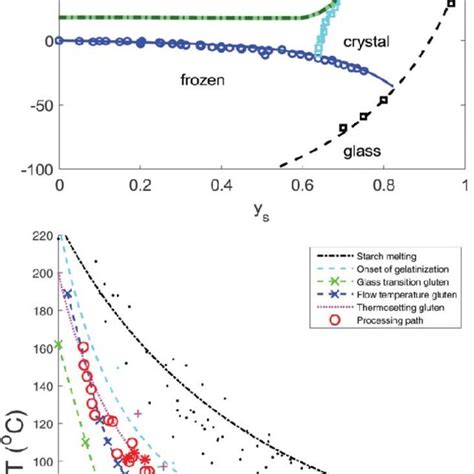 A Supplemented State Diagram Of Sucrose Showing Phase Transitions And Download Scientific