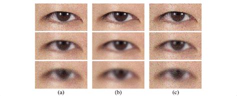 Some Examples Of Images With Added Noise Gaussian Noise A Poisson