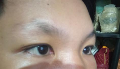 Can Someone Help My Brother In His Eyebrows ╥﹏╥ Rfixedeyebrows
