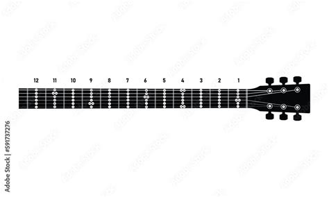 Notes On The Guitar Neckguitar Chords Diagram Stock Vector Adobe Stock