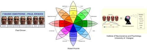 Basic Emotions Neuropedagogy