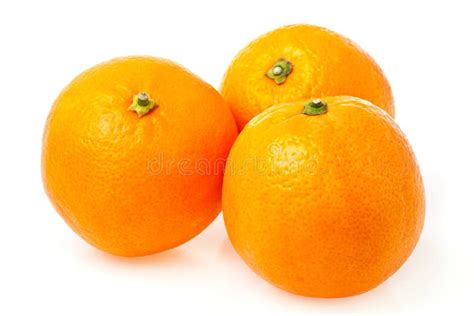 251 880 Naranjas Fotos De Stock Fotos Libres De Regalías De Dreamstime