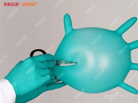 干货分享 细胞划痕实验 知乎