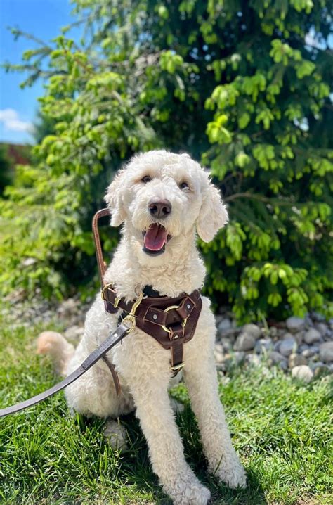 Julia Reading On Linkedin Through My Time At Kent State I Have Been A Part Of An Organization 4