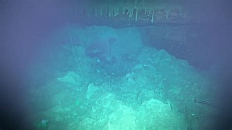 The Wreck Of The Chokai