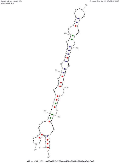 Staphylococcus Aureus Rna Aptamer