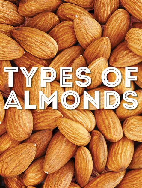 Types Of Almonds With Photos Live Eat Learn