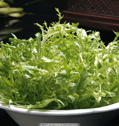 火锅素菜配菜图片 其他 餐饮美食 图行天下素材网