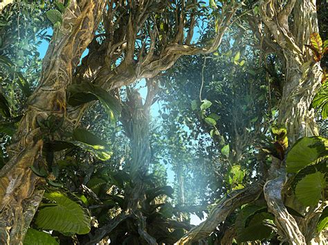 3d rain forest ecosystems pack turbosquid 1466058