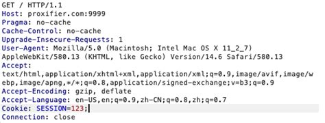 请求头注入神器 Burpheaderhelperjar使用教程（burpsuite、bp插件） Csdn博客