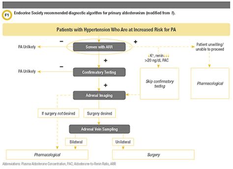 Practical Approaches To The Diagnosis Of Primary Hyperaldosteronism