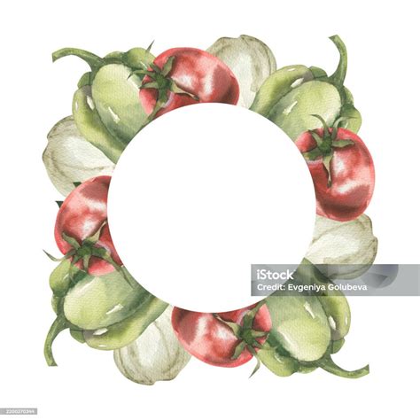 야채 둥근 프레임 수채화 빨간 토마토 피망 양파 샬롯 그림 손으로 그린 비건 유기농 식품 화환 식료품 가게 포장을위한 샐러드 재료 클립 아트 로고 디자인 가냘픈에 대한 스톡