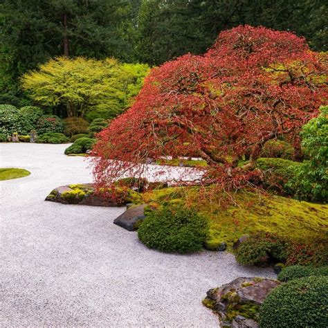 How To Make A Japanese Zen Garden In Your Backyard Vorgarten Zen Garten Garten