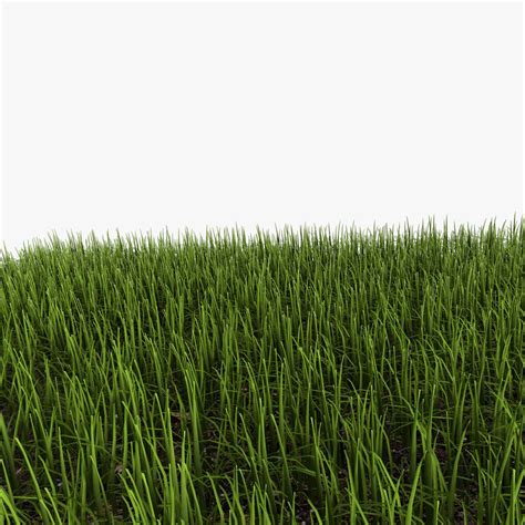 Grass Free 3d Models Blender Blend Download Free3d