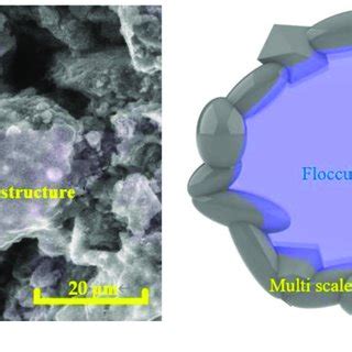 The Floc Structure A SEM Image B Schematic Diagram Download Scientific Diagram