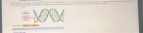 Solved The Nucleotides Can Be Repeated These Codons Are