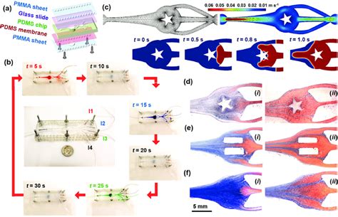 A Schematic Showing The Assembly Of The Microfluidic Chip Having Four