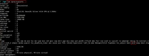 教程 Doris 123部署linux环境 资源荟萃 Linux Do