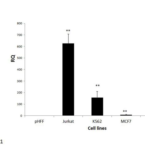 Correlations Between Telomerase Activity In Cancer And Non Cancer